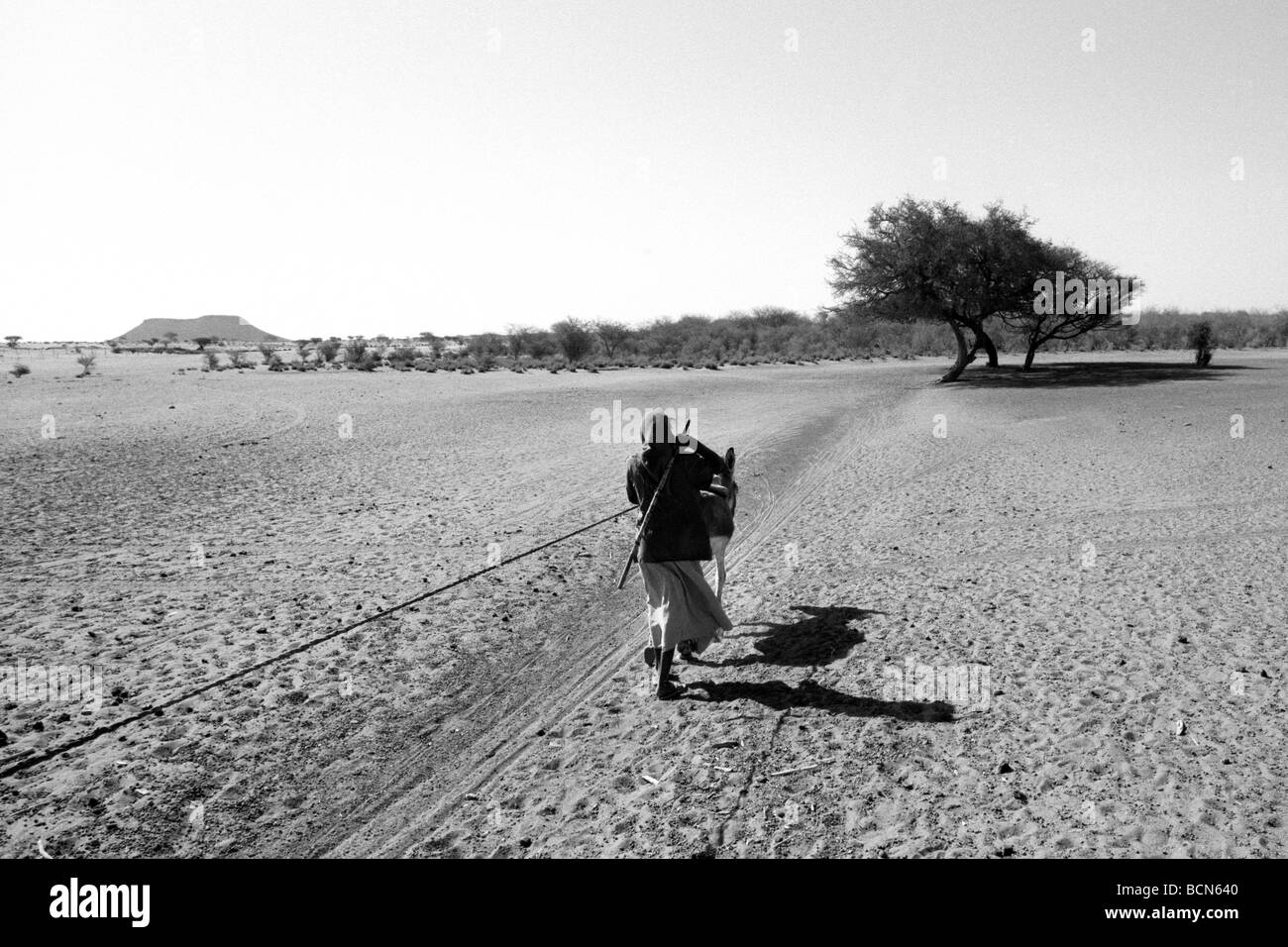 nubia sudan bayuda desert Stock Photo - Alamy