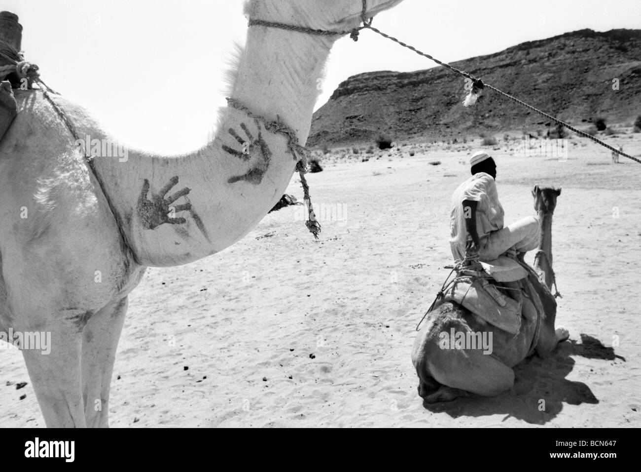 nubia sudan bayuda desert Stock Photo - Alamy