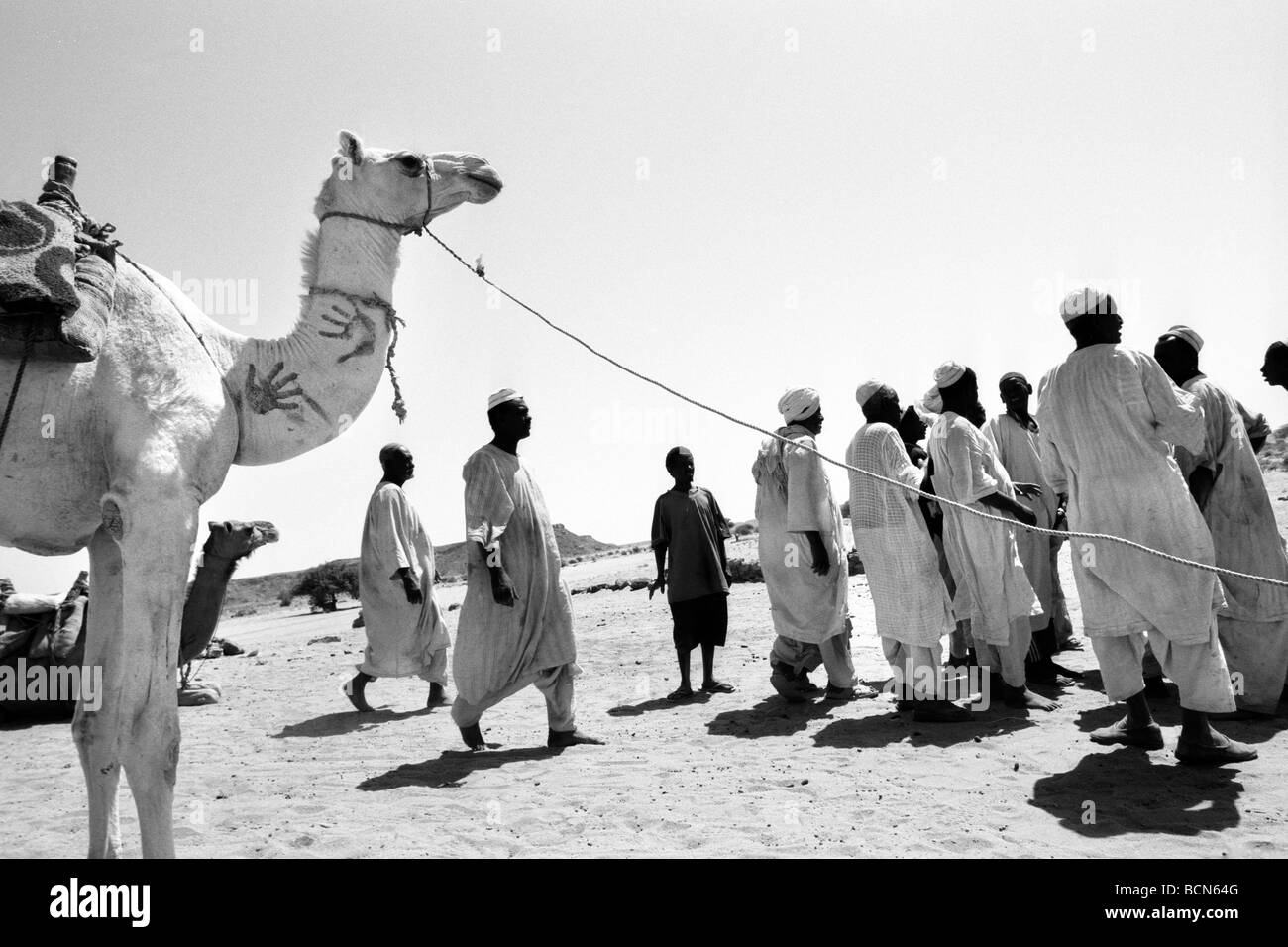 nubia sudan bayuda desert Stock Photo - Alamy