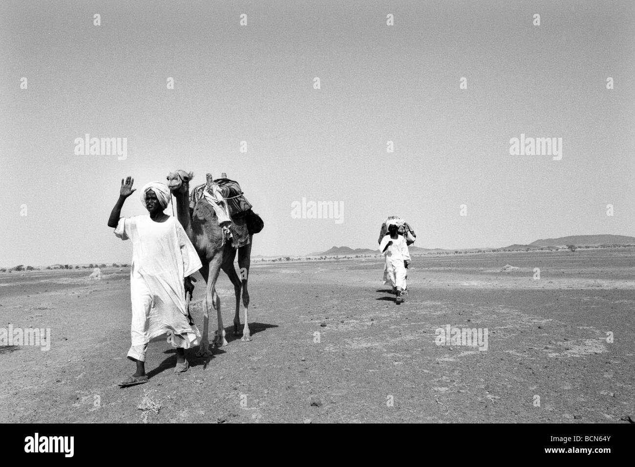 nubia sudan bayuda desert Stock Photo - Alamy