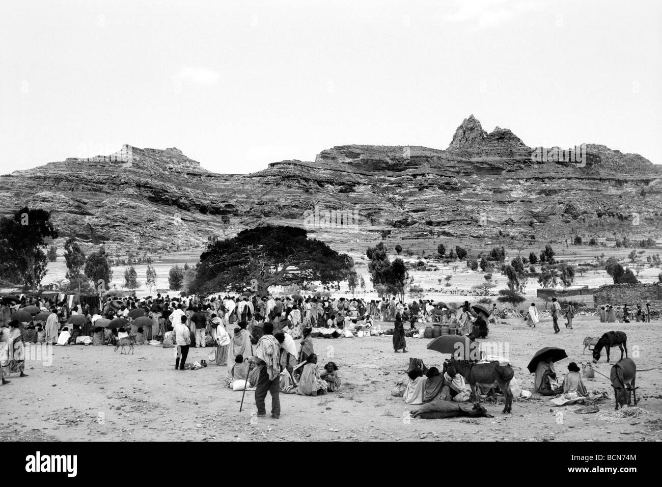 ethiopia tigray valley Stock Photo - Alamy
