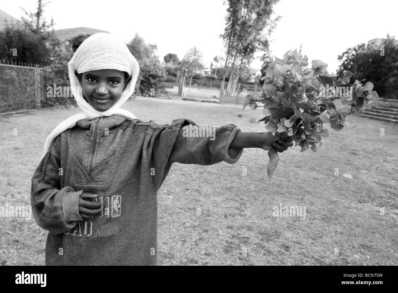 ethiopia tigray Adigrat selling flowers Stock Photo - Alamy