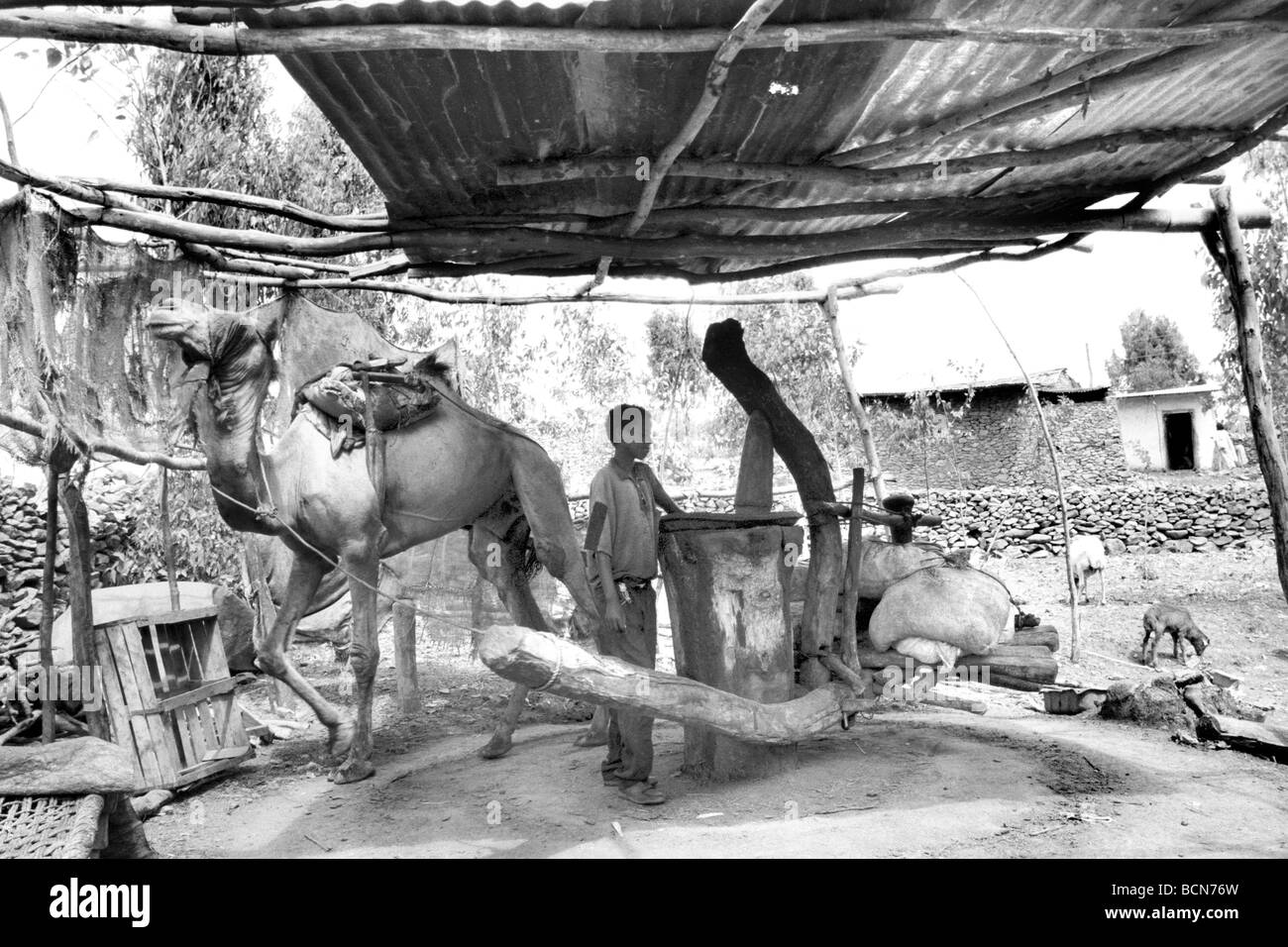 ethiopia axum aksum Stock Photo - Alamy