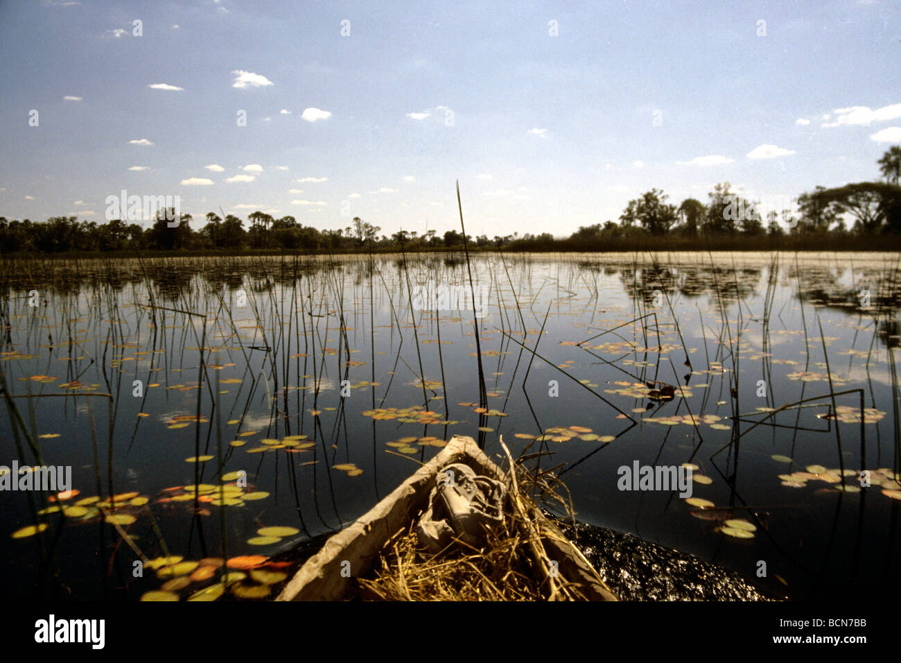 botswana okawango delta Stock Photo - Alamy