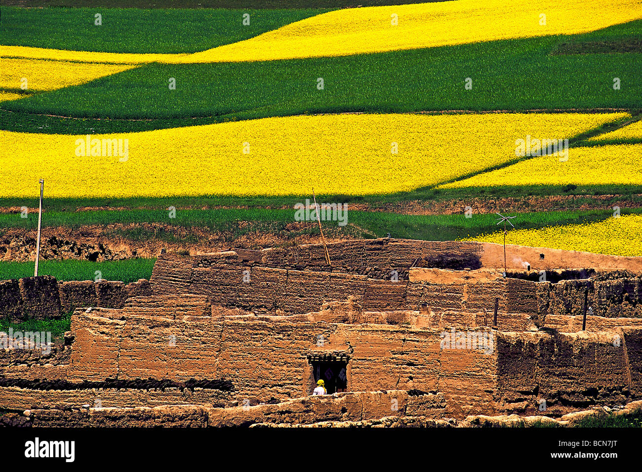 Traditional architecture of Tu ethnic minority, Qinghai Province, China ...