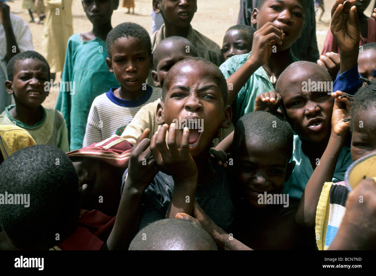 Tonka the great hi-res stock photography and images - Alamy