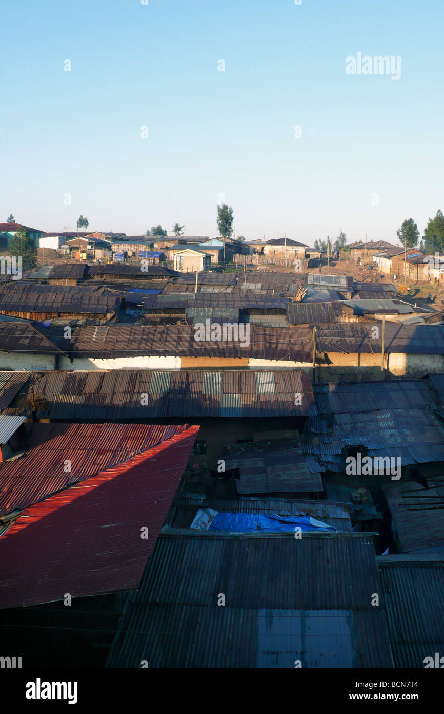 Debark hi-res stock photography and images - Alamy