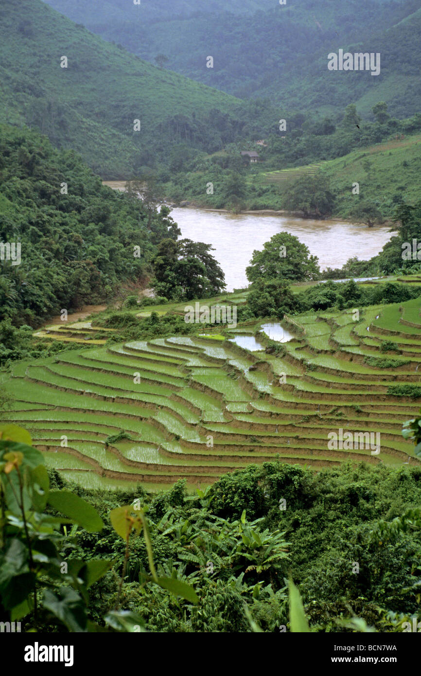 Vietnam war soldiers rice hi-res stock photography and images - Alamy