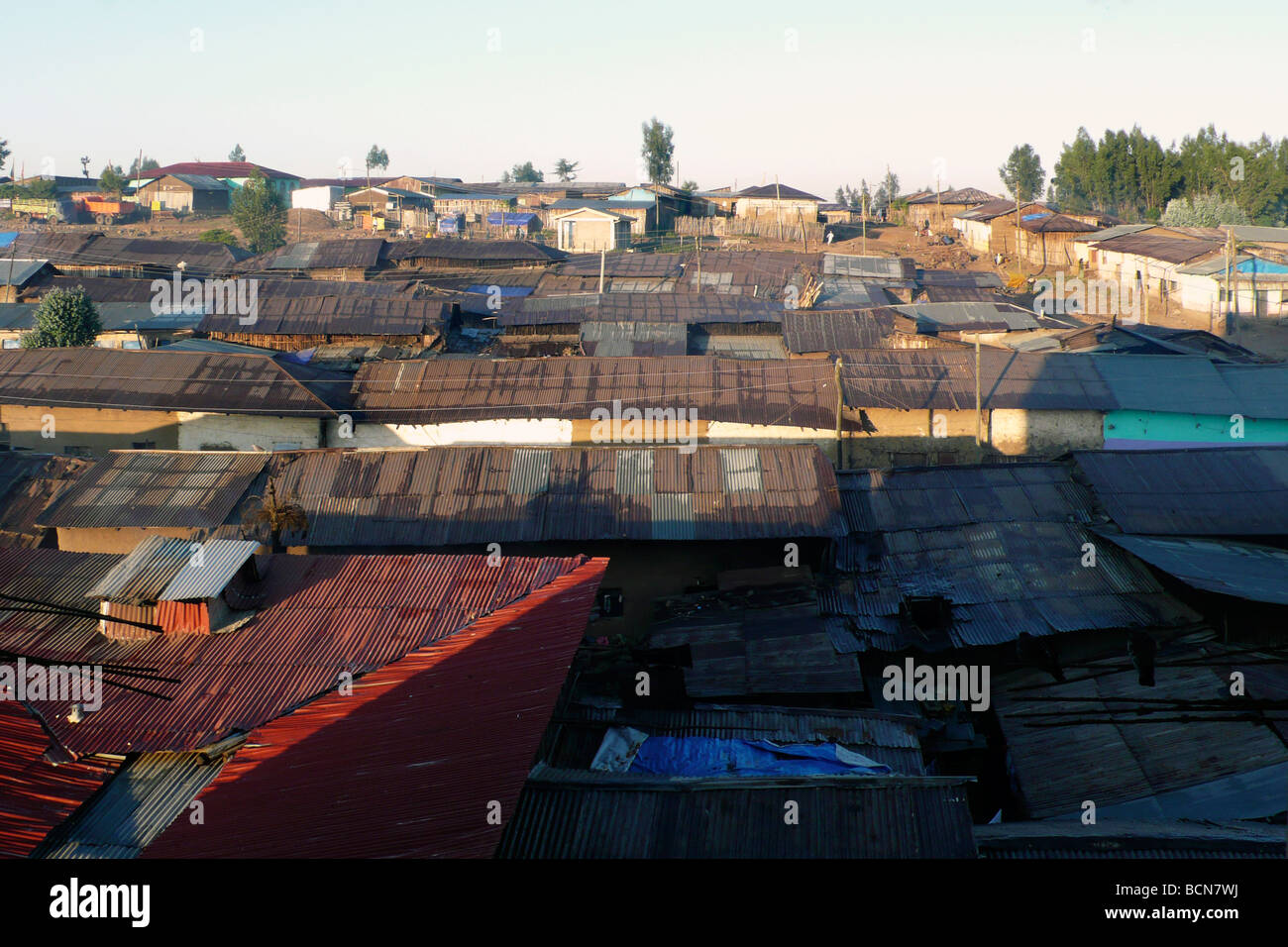 Debark hi-res stock photography and images - Alamy