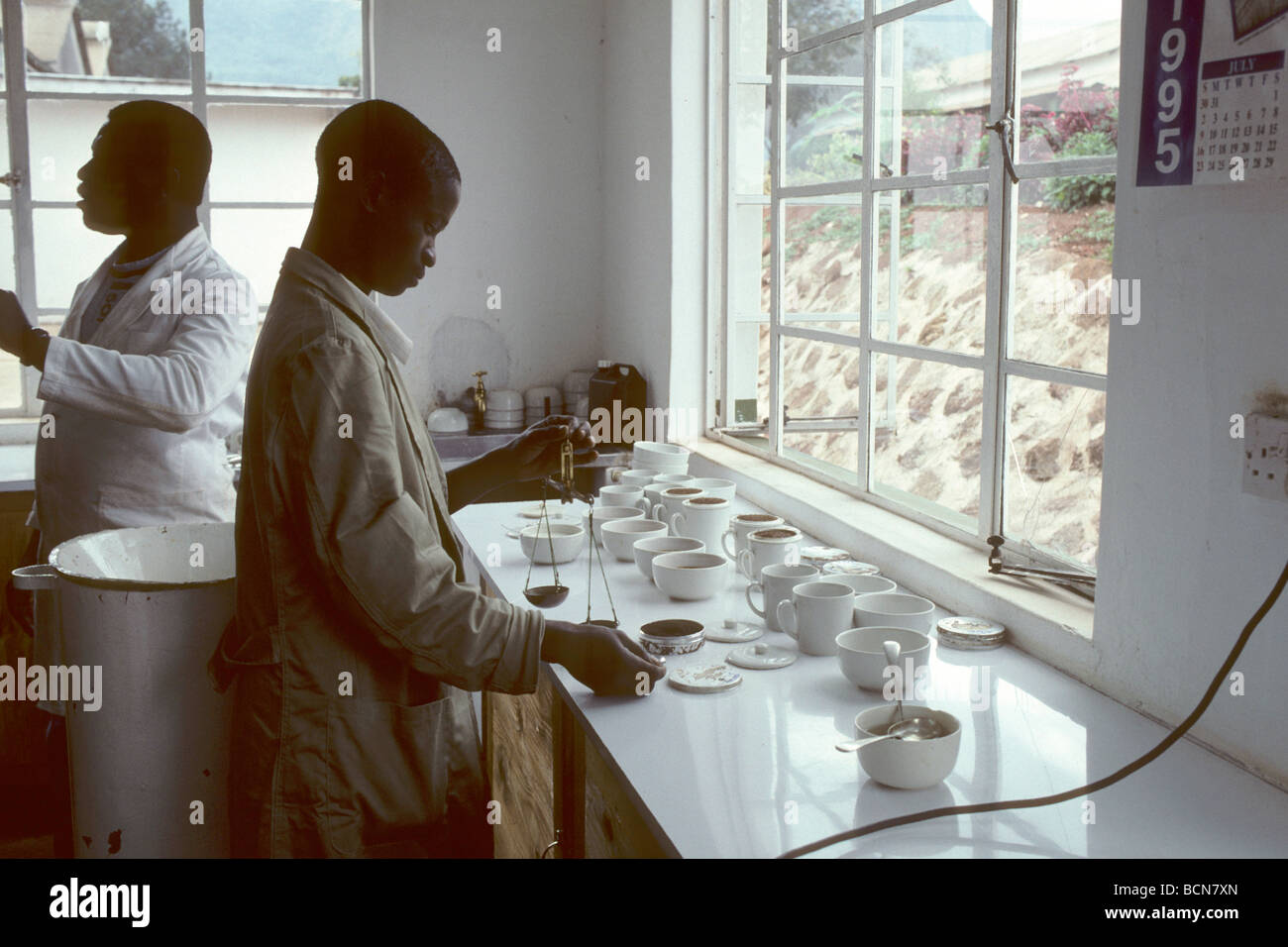 malawi Tea factory to Mulanje Stock Photo - Alamy