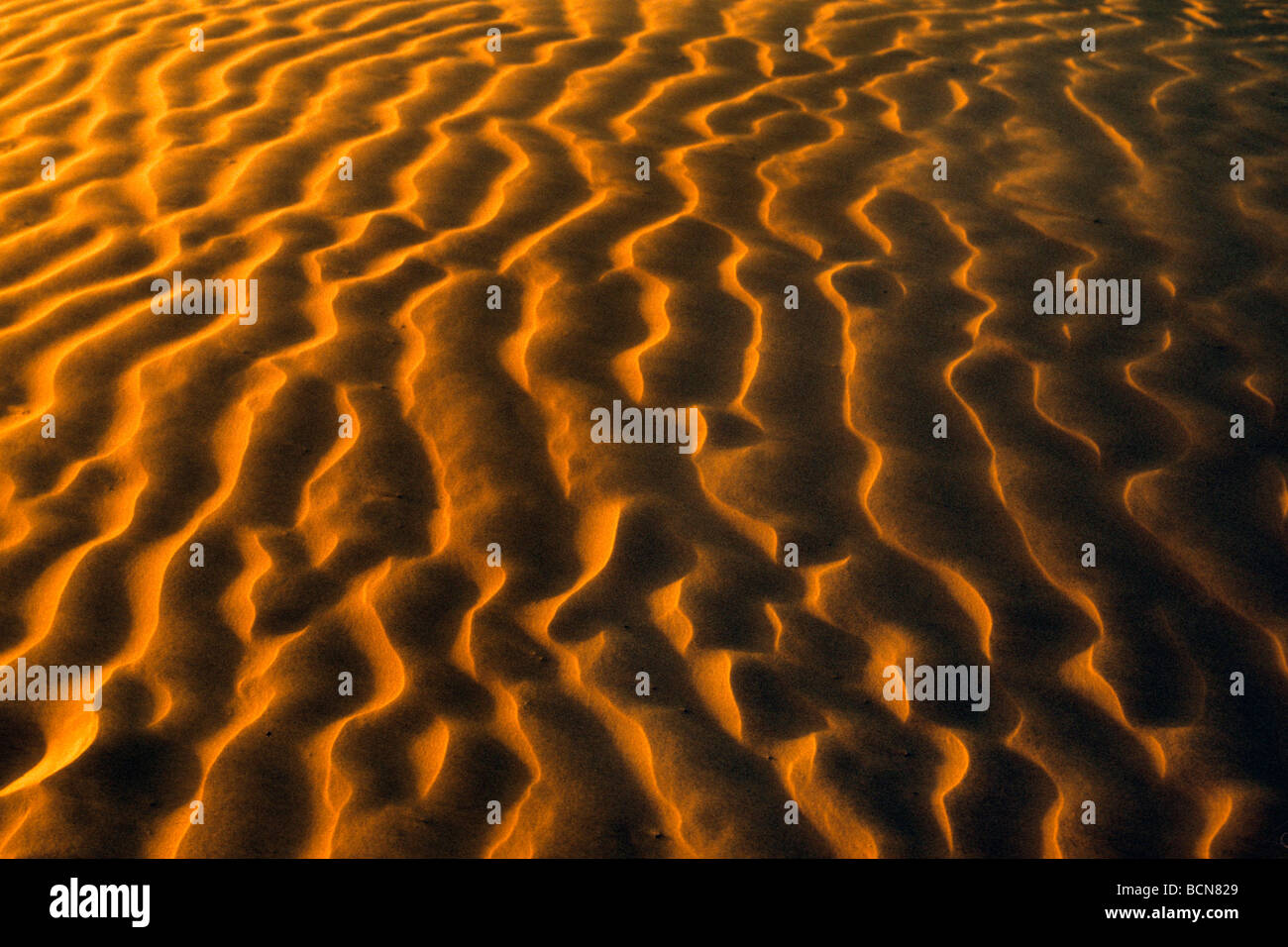 libyan desert libya Stock Photo - Alamy