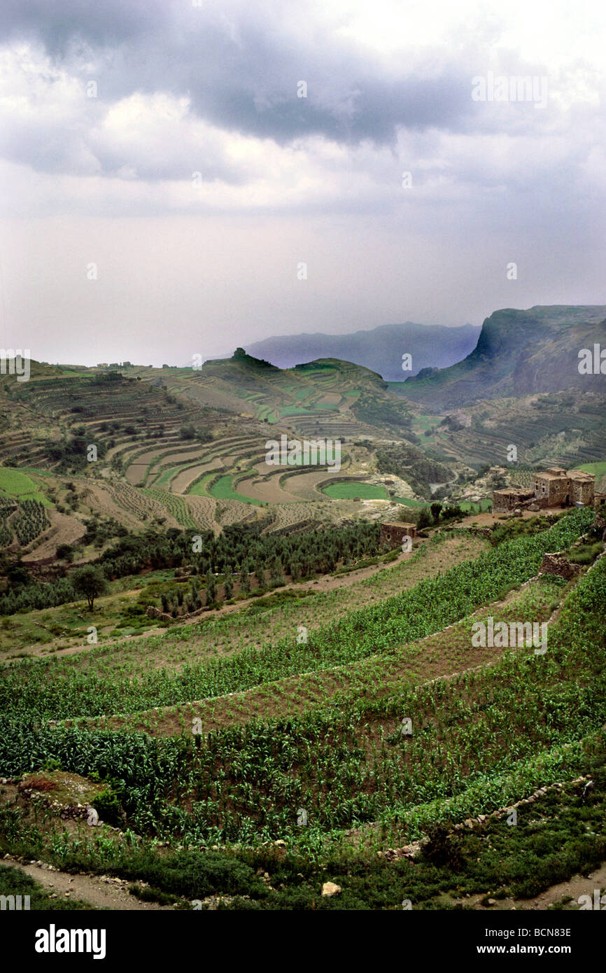 Hajara High Resolution Stock Photography and Images - Alamy