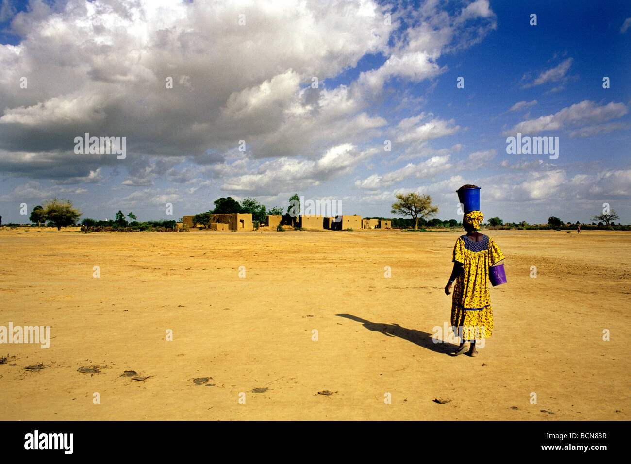 Tonka the great hi-res stock photography and images - Alamy