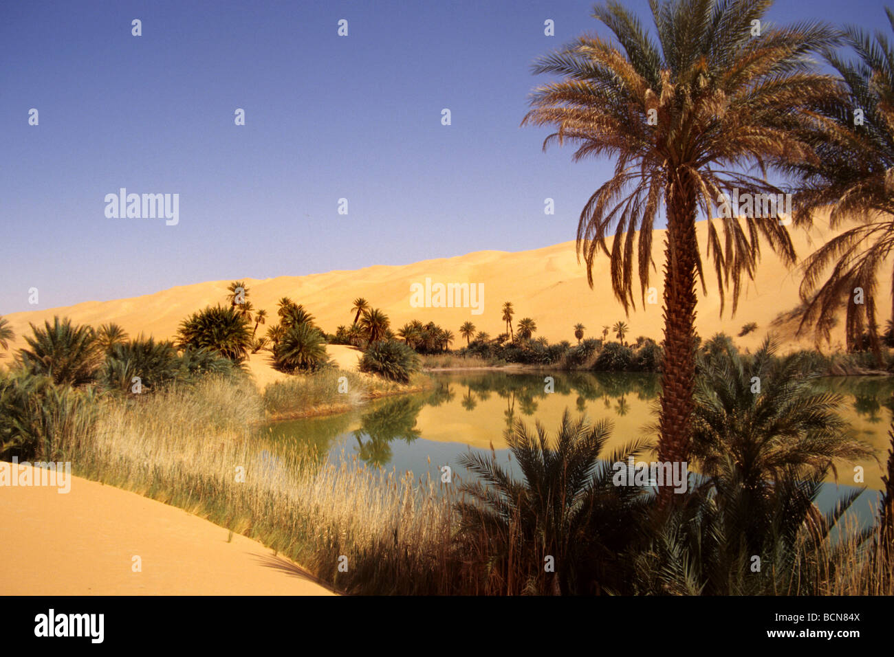 libyan desert libya Stock Photo - Alamy