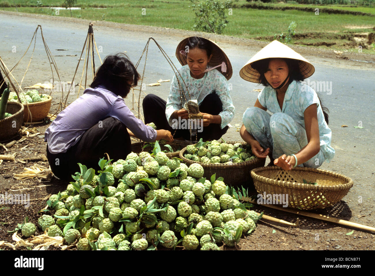 vietnam Young peddler on the national road that connects Hanoi to ...