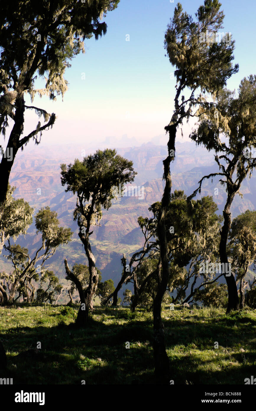 Simien plateau hi-res stock photography and images - Alamy