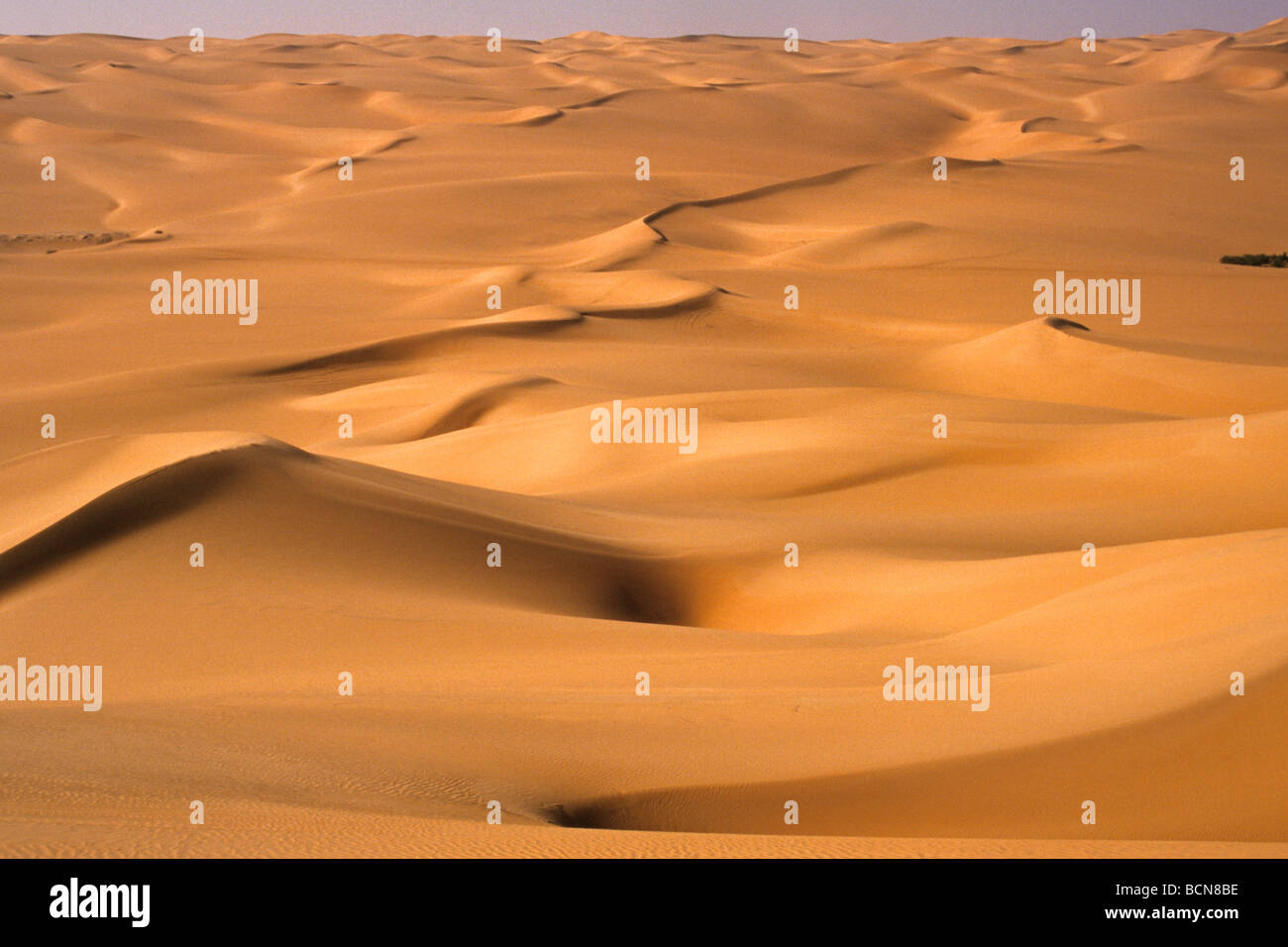 libyan desert libya Stock Photo - Alamy