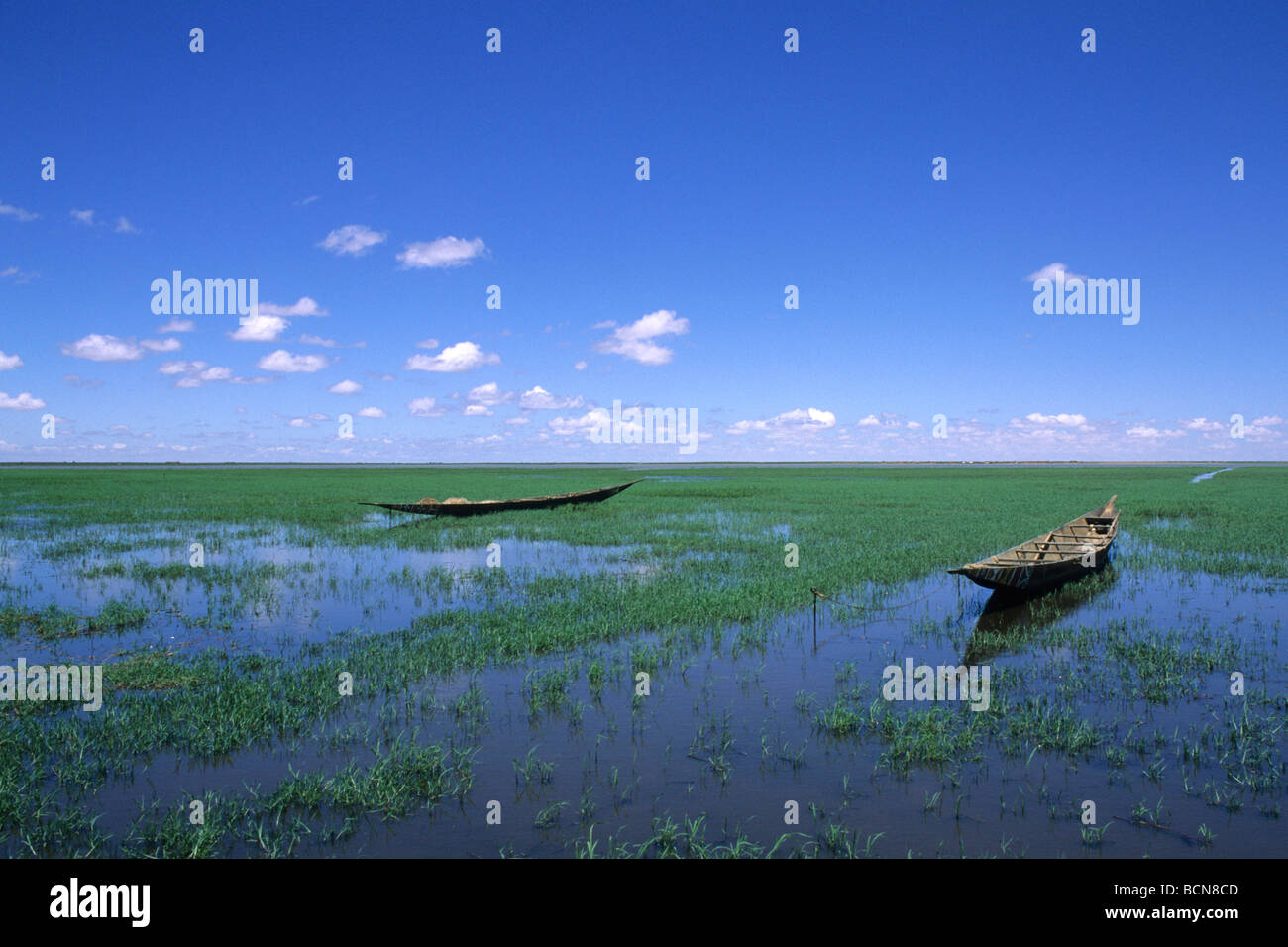 Great river niger hi-res stock photography and images - Alamy