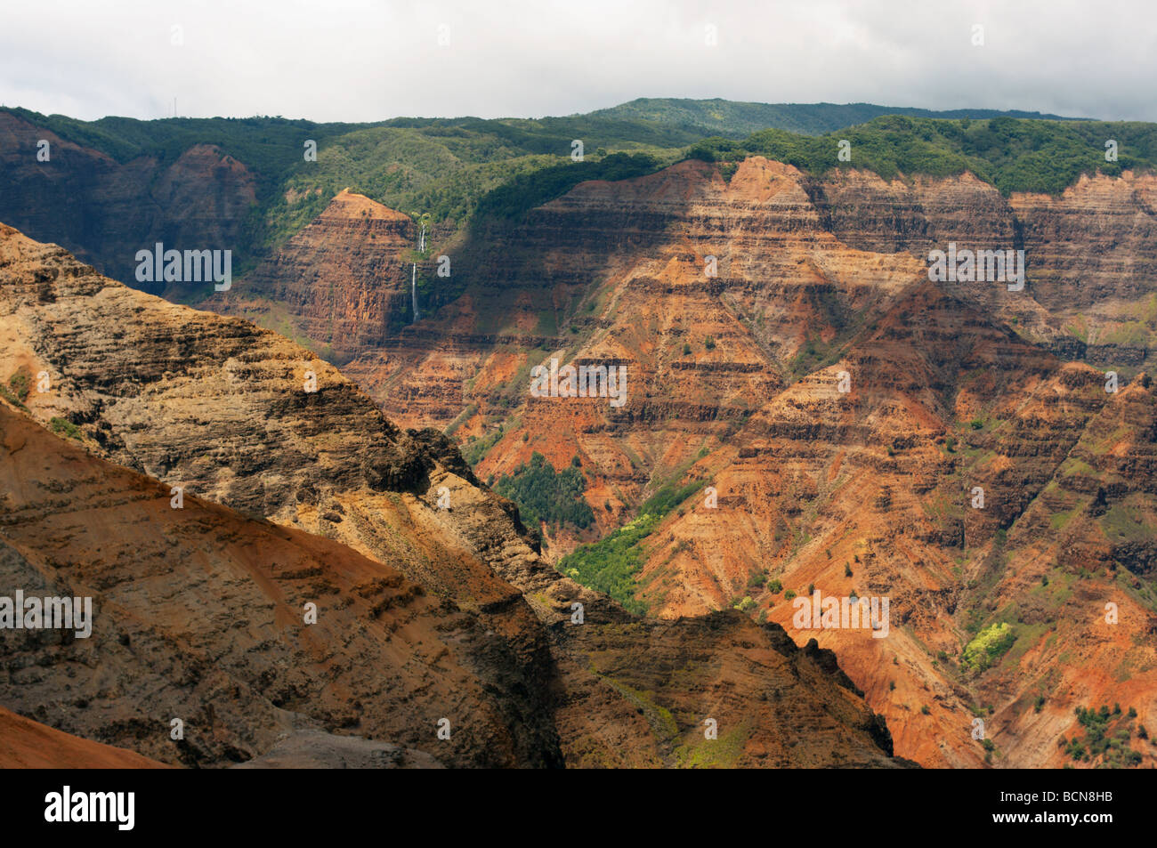 Kumuwela Ridge from Waimea Canyon Lookout Kauai HI Stock Photo - Alamy