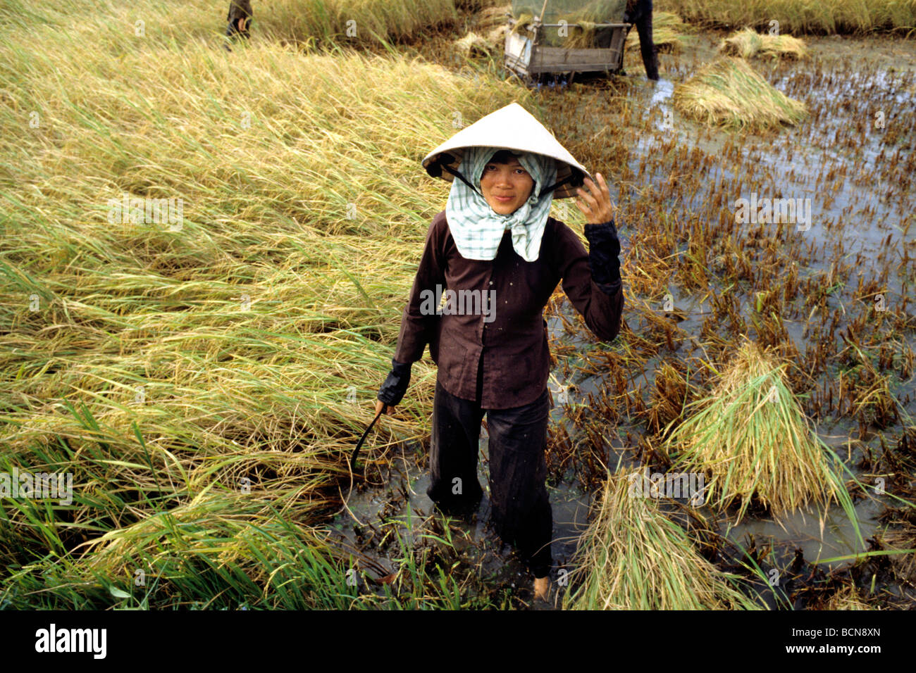 Vietnam war soldiers rice hi-res stock photography and images - Alamy