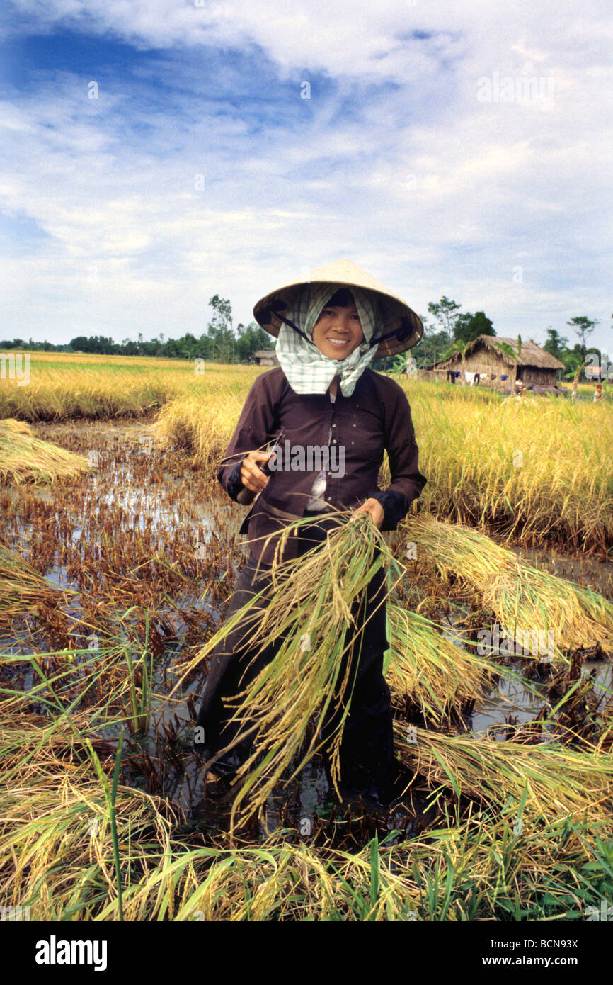 Vietnam war soldiers rice hi-res stock photography and images - Alamy