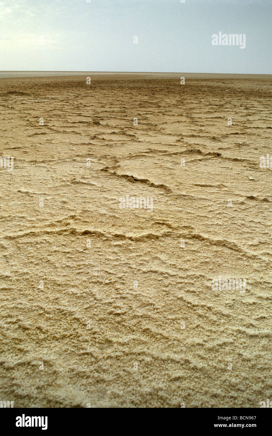 tunisia chott el djerid Stock Photo - Alamy