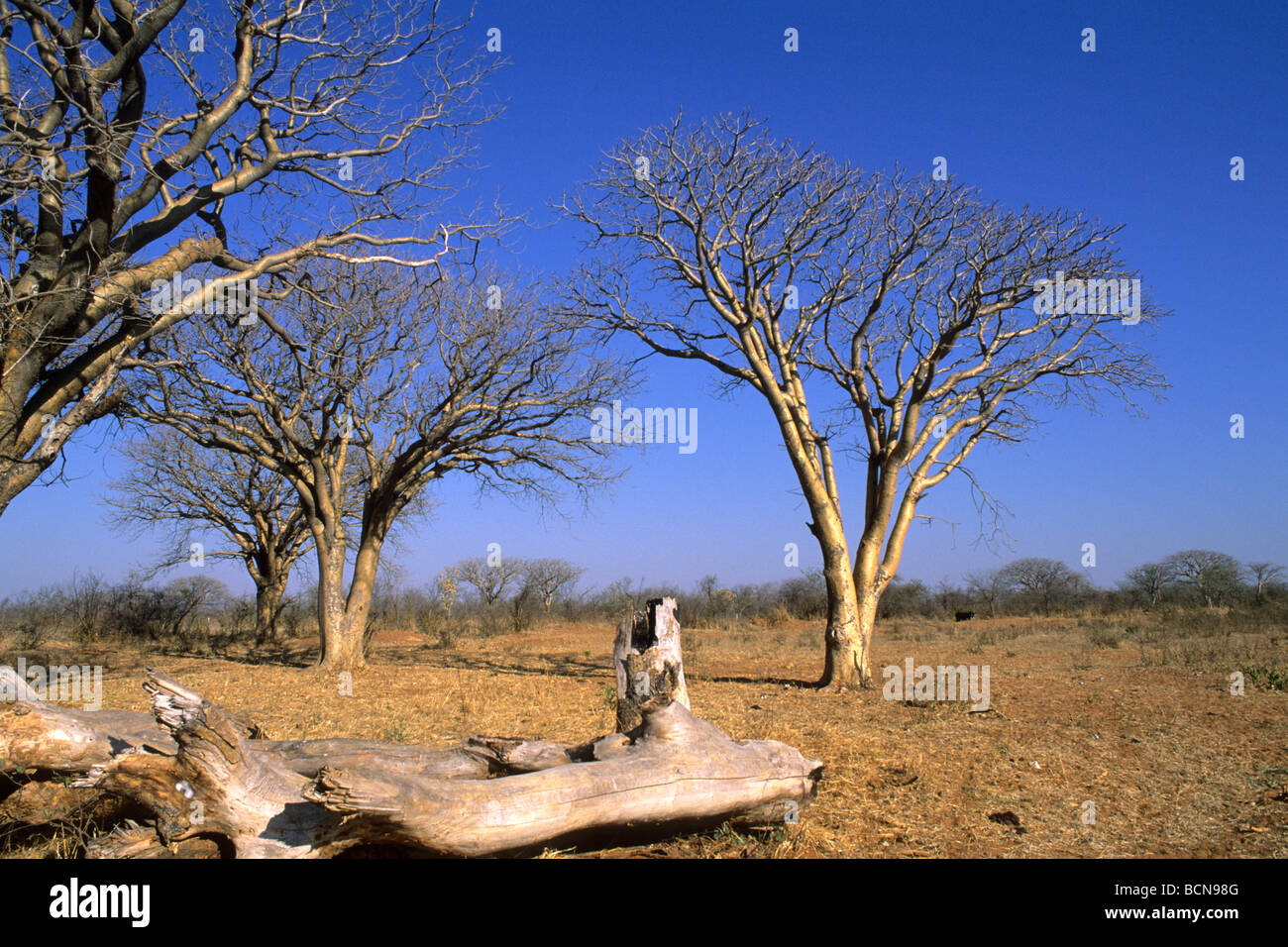 National strives hi-res stock photography and images - Alamy