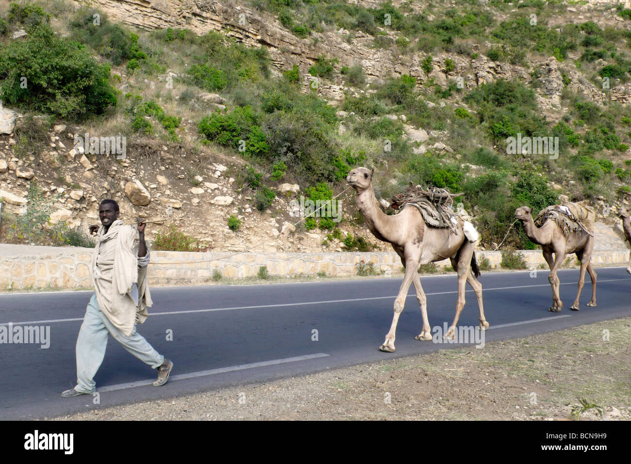 Ethiopian mammals hi-res stock photography and images - Alamy