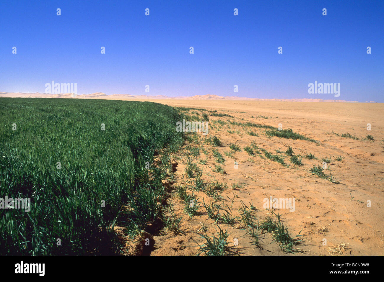 Libya desert irrigation hi-res stock photography and images - Alamy