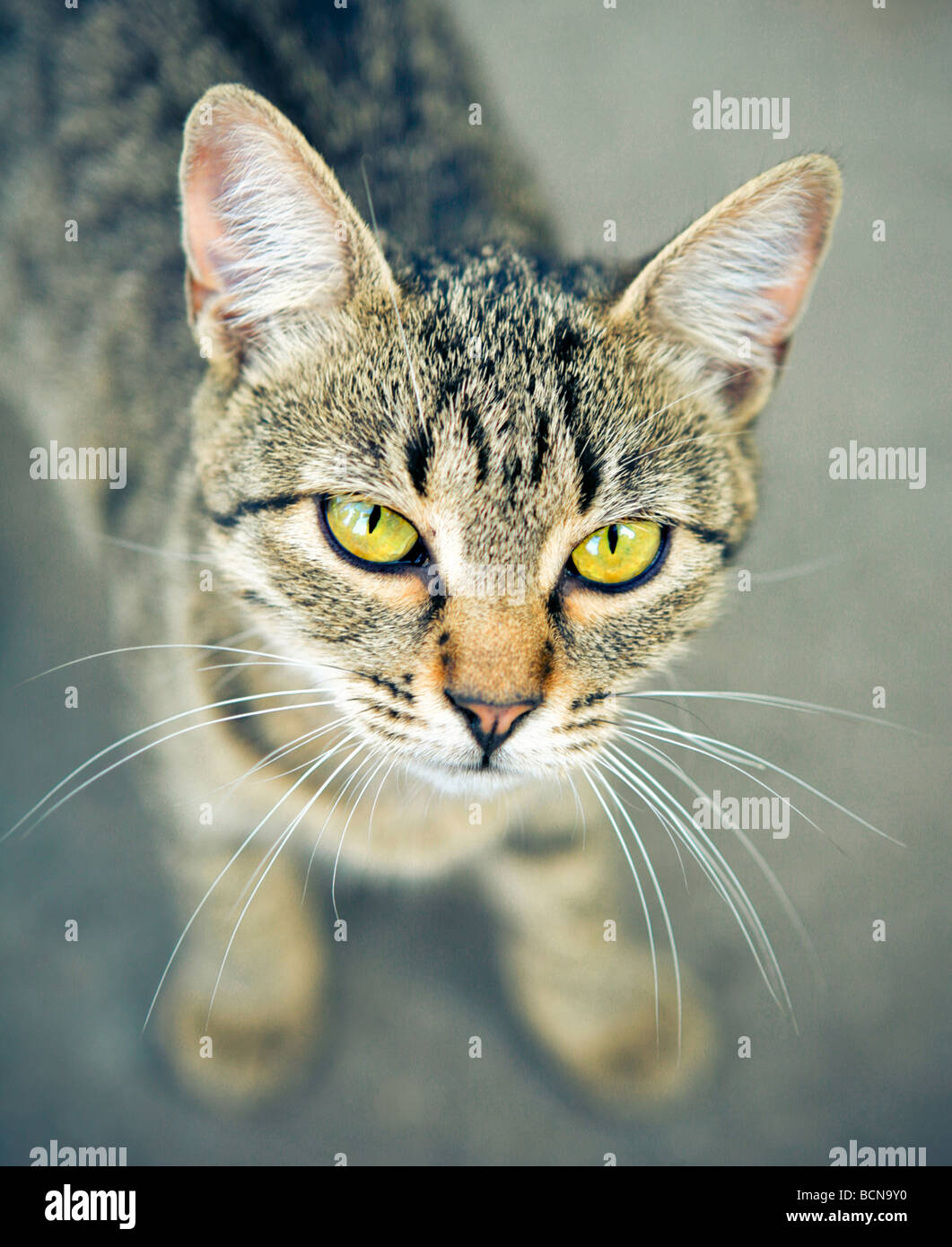 Very interesting to the eye hi-res stock photography and images - Alamy