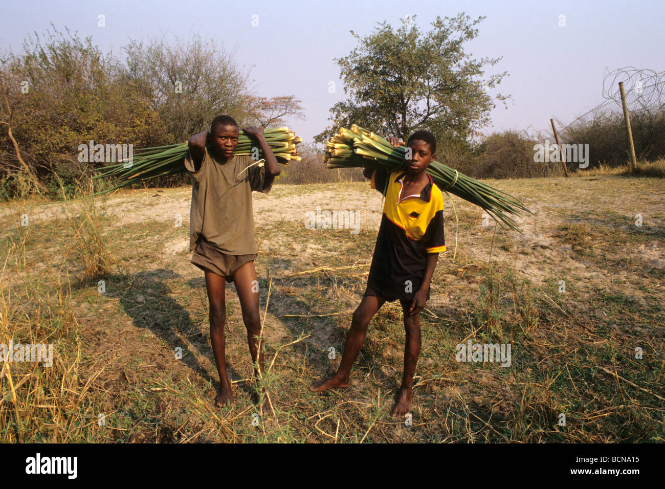 namibia Little boys Divundu Stock Photo - Alamy