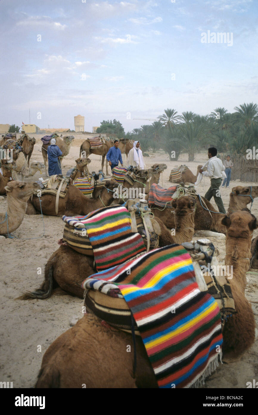 Douz hotel sahara hi-res stock photography and images - Alamy