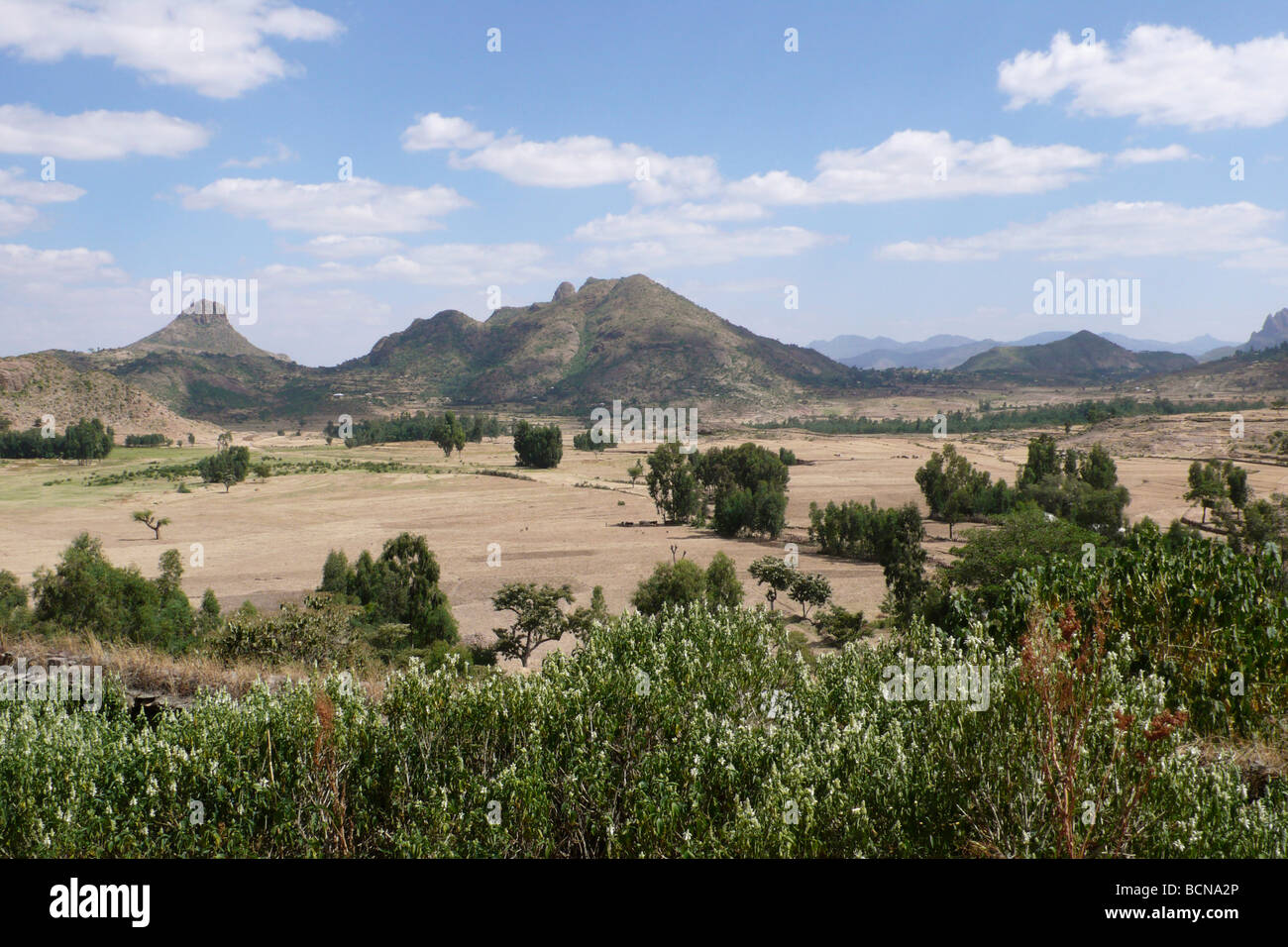 Tigray tigrinya hi-res stock photography and images - Alamy