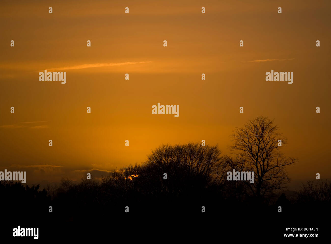 Winter sky at sunset Stock Photo - Alamy