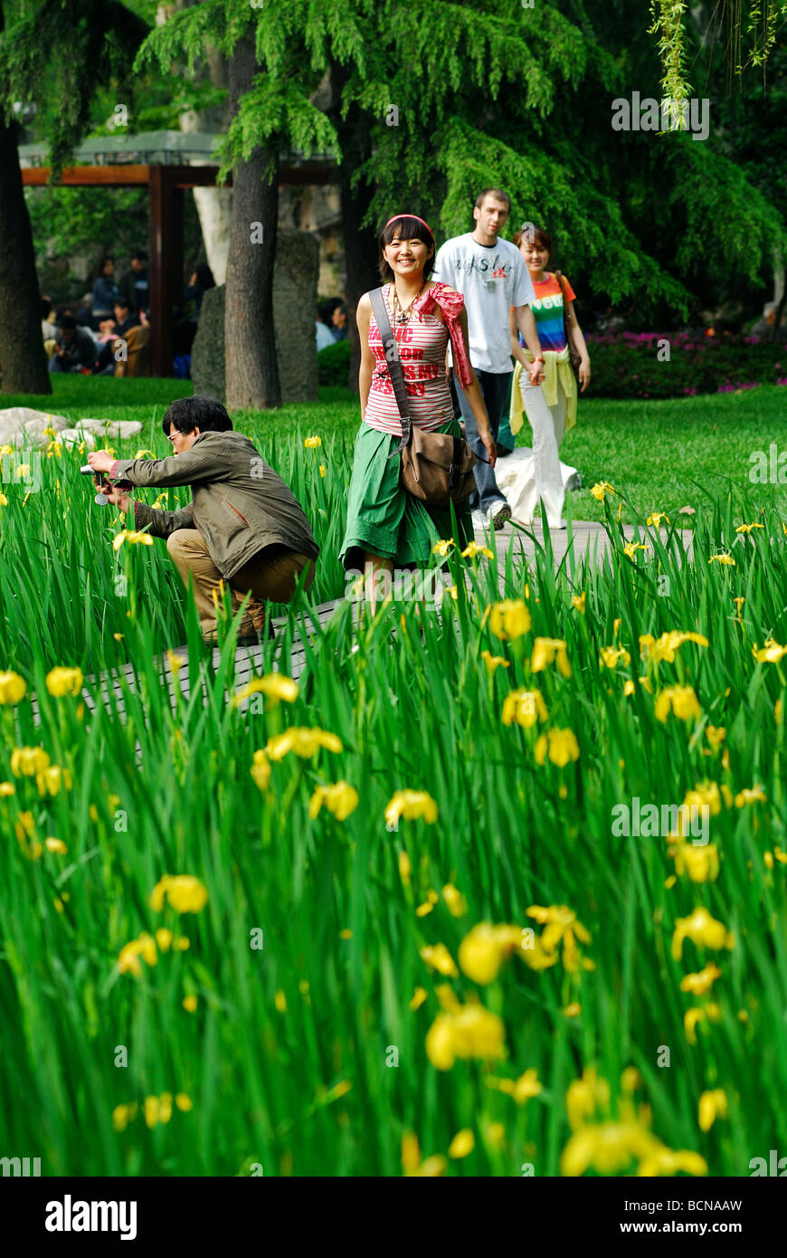 Smiling tourists in the park full of blooming yellow iris, Shanghai ...