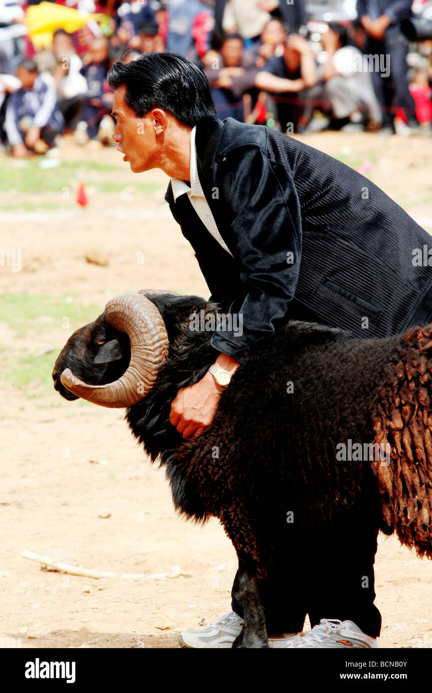 Man holding ram before Ram Fight, Torch Festival, Liangshan Yi ...