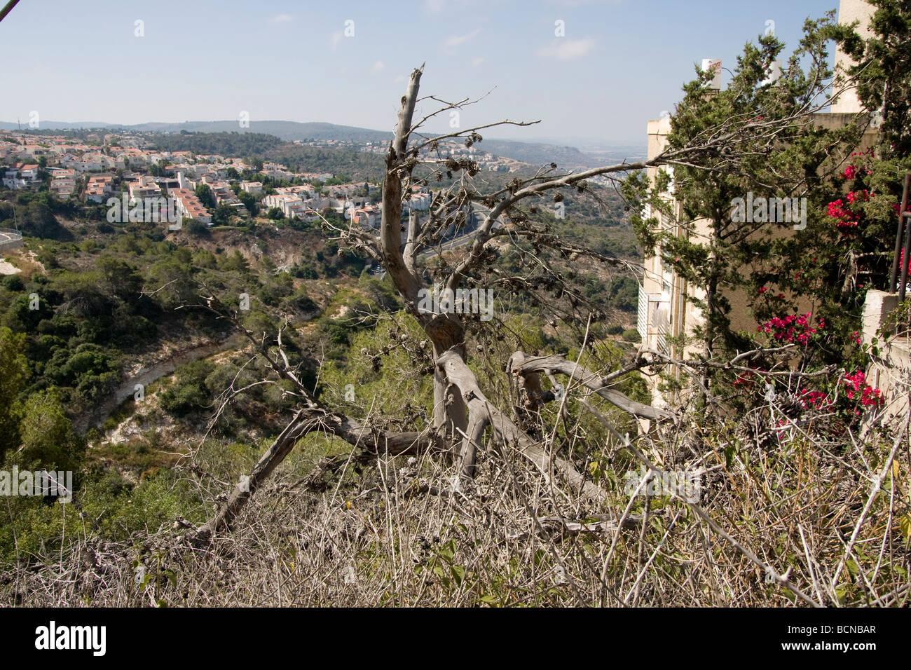 Excursions in summer on the land of Israel Stock Photo - Alamy