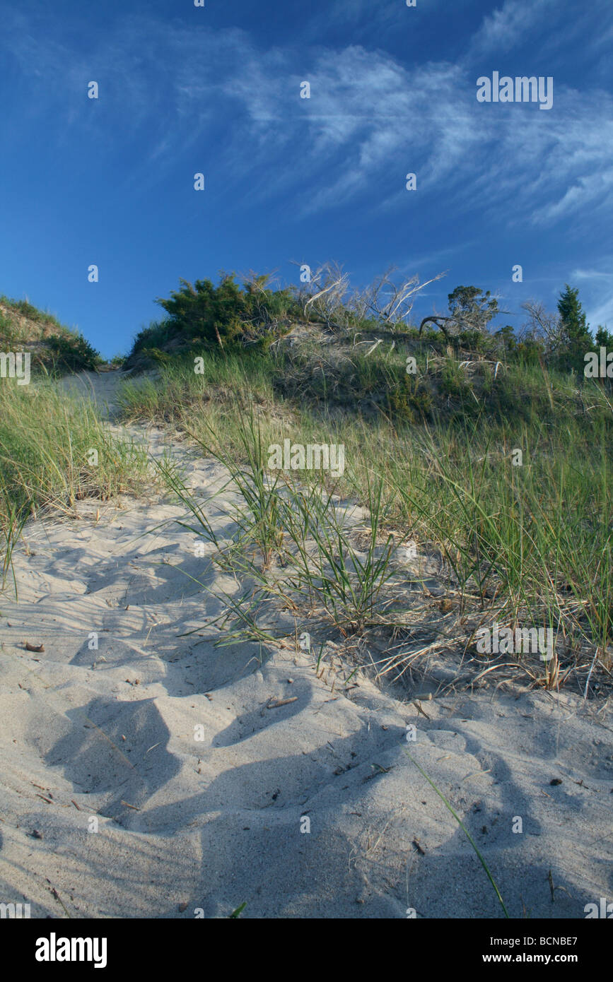 Sand Pathway up a Dune Pinery Provincial Park Ontario Canada Stock ...