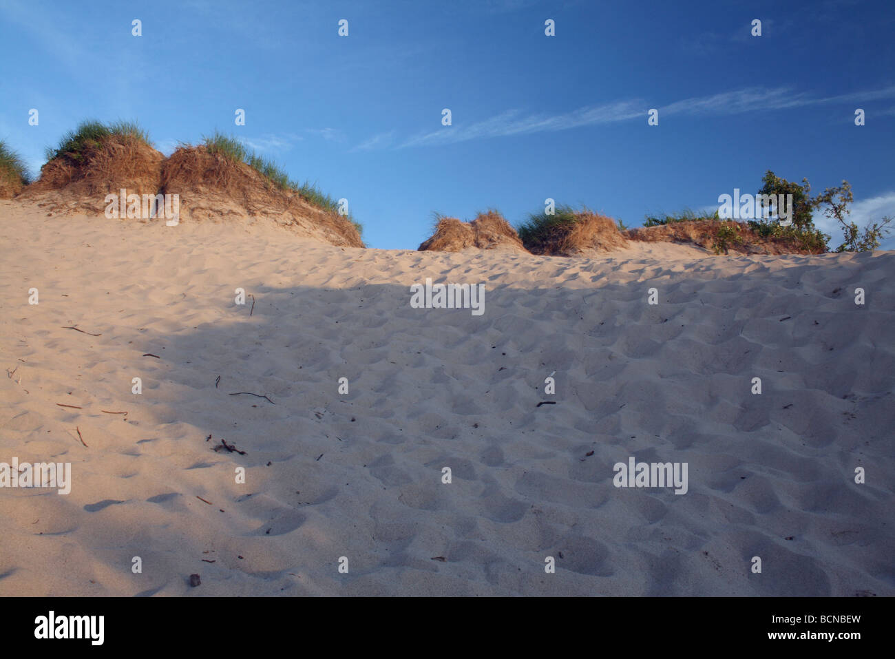 Pinery provincial park hi-res stock photography and images - Alamy