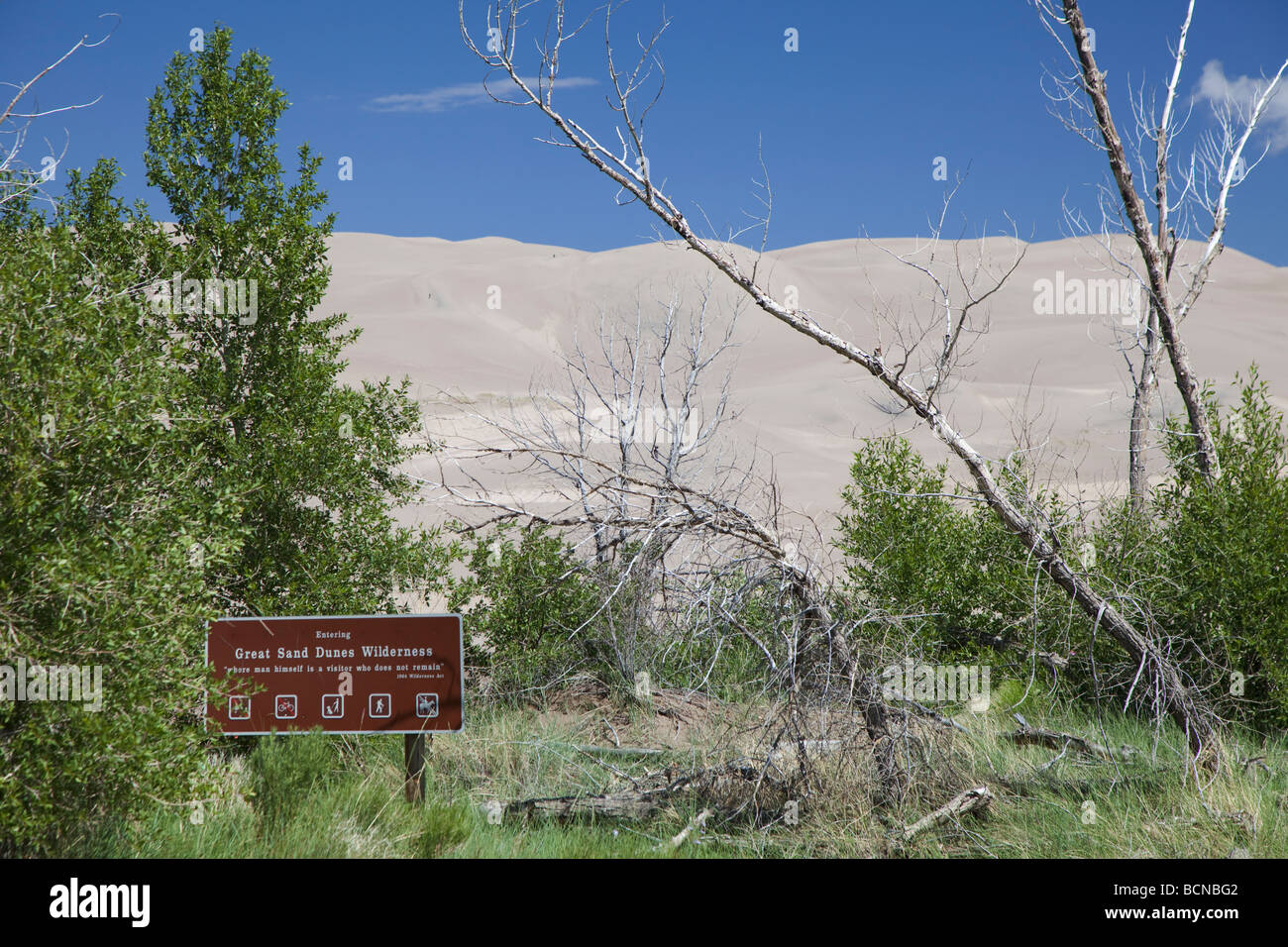 Mosca Colorado Great Sand Dunes National Park Stock Photo - Alamy