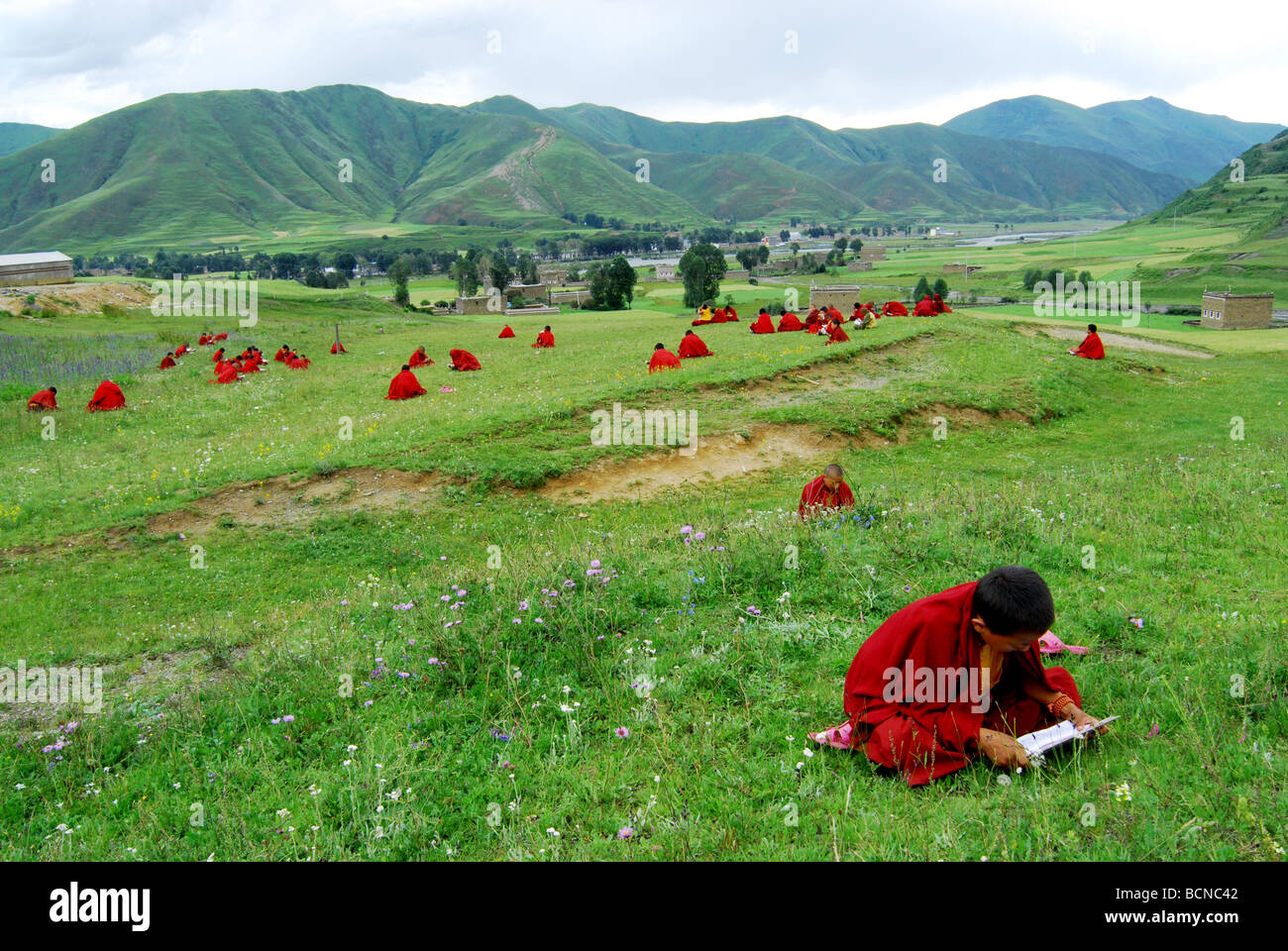 Boy lamas reading traditional Tibetan scripture in Buddhism Institute ...