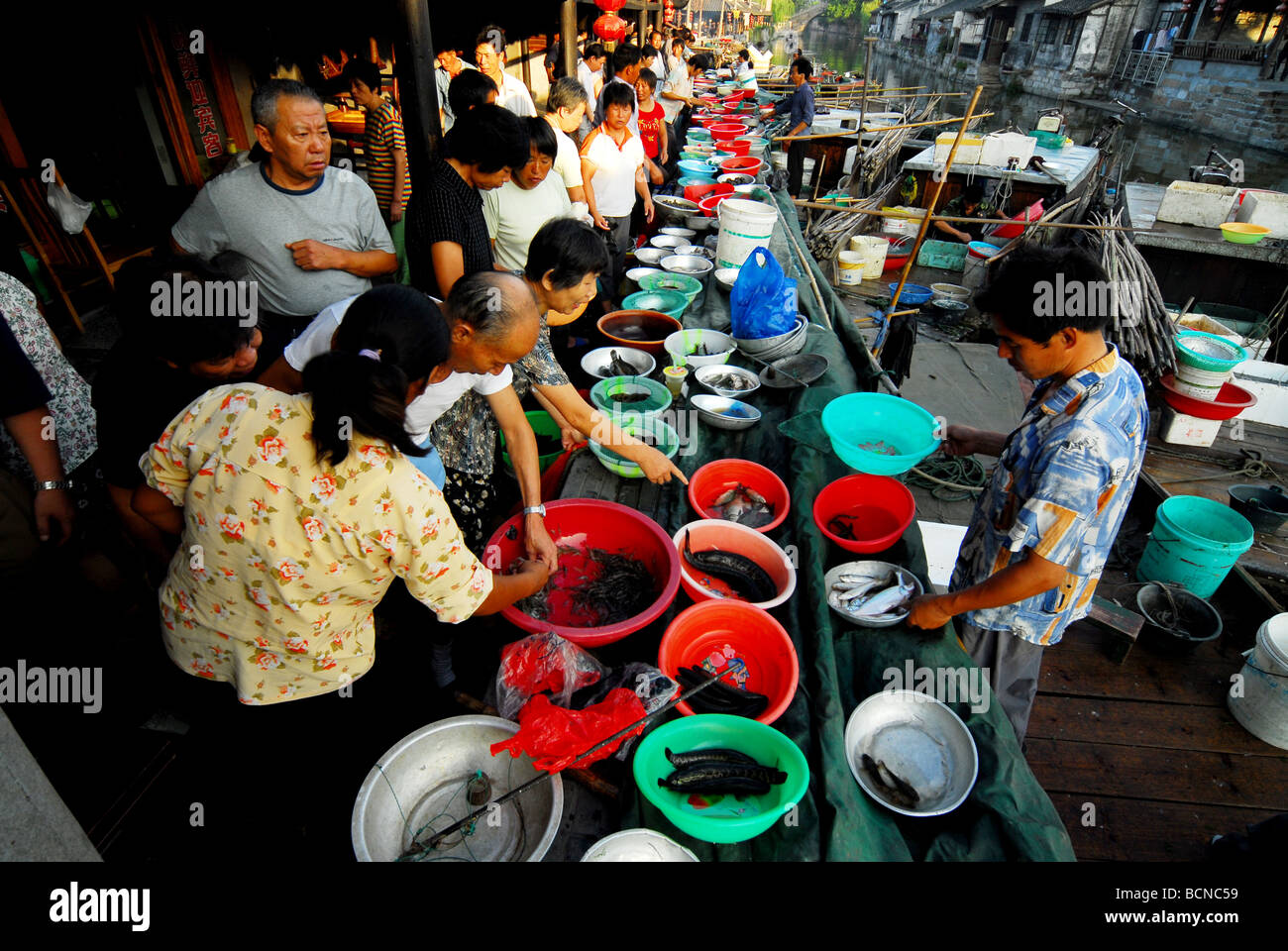 Fish Market In Shanghai China Stock Photos & Fish Market In Shanghai ...