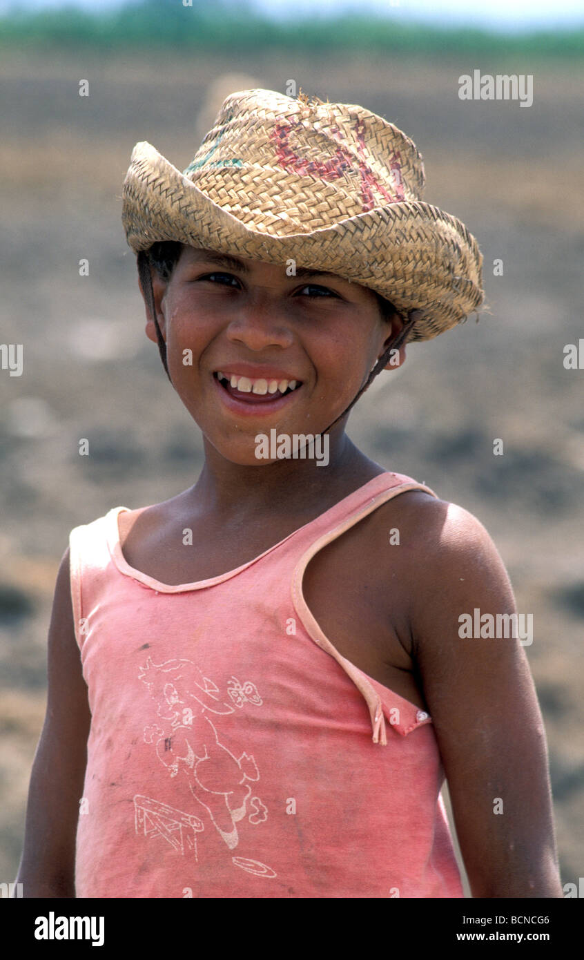 Cutter cane sugar cane hi-res stock photography and images - Alamy