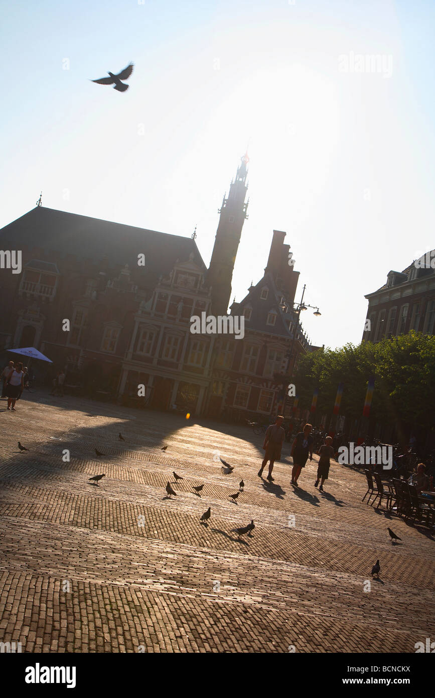 Haarlem, Noord North Holland, Netherlands. De grote Markt in summer ...