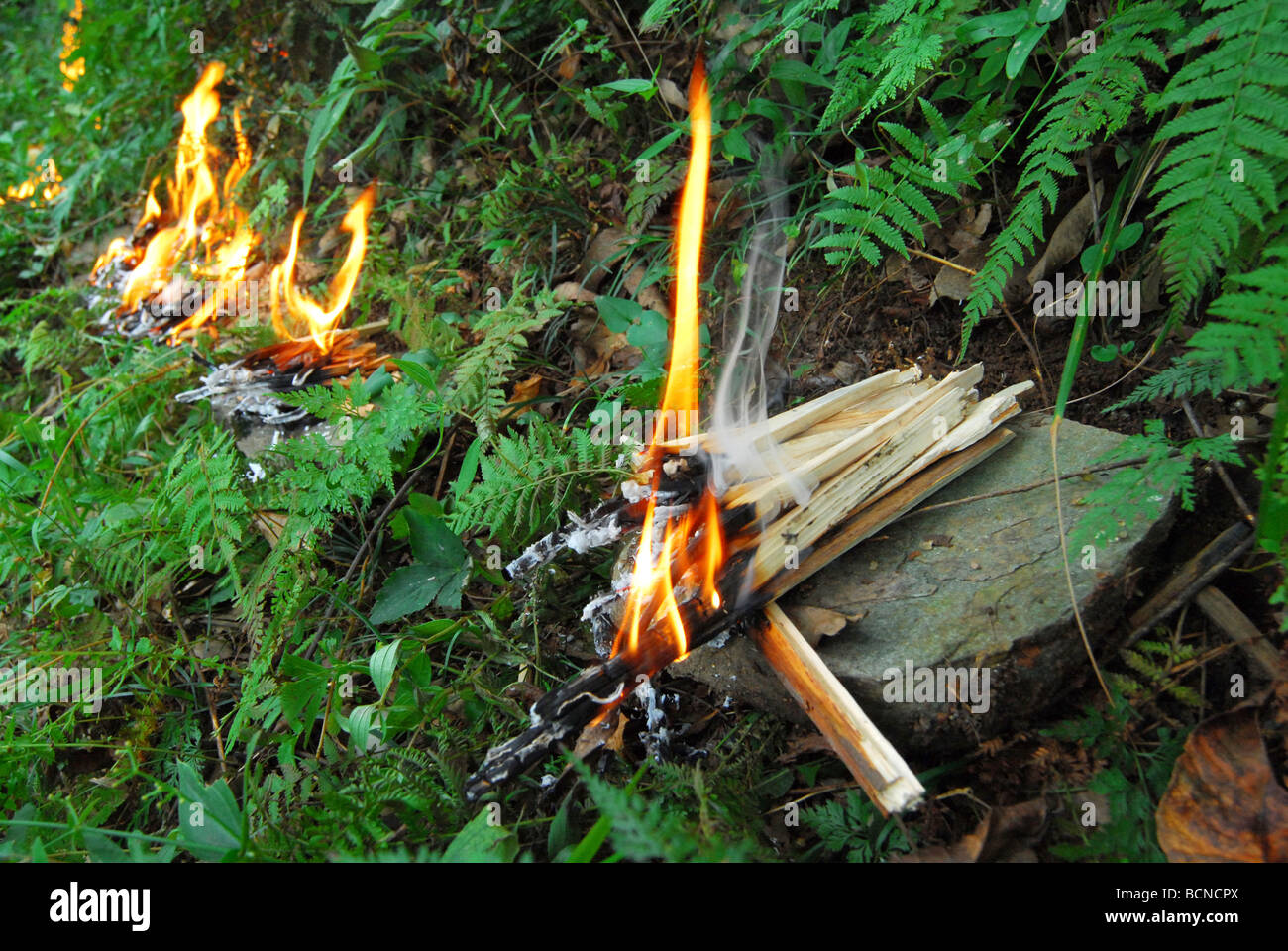 Burning scented wood sticks for honoring ancestors, Ersu Tibetan ...