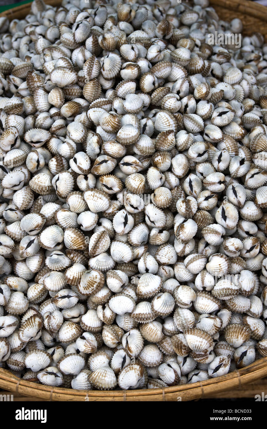 Cockles on Stall in Phnom Penh Cambodia Stock Photo - Alamy