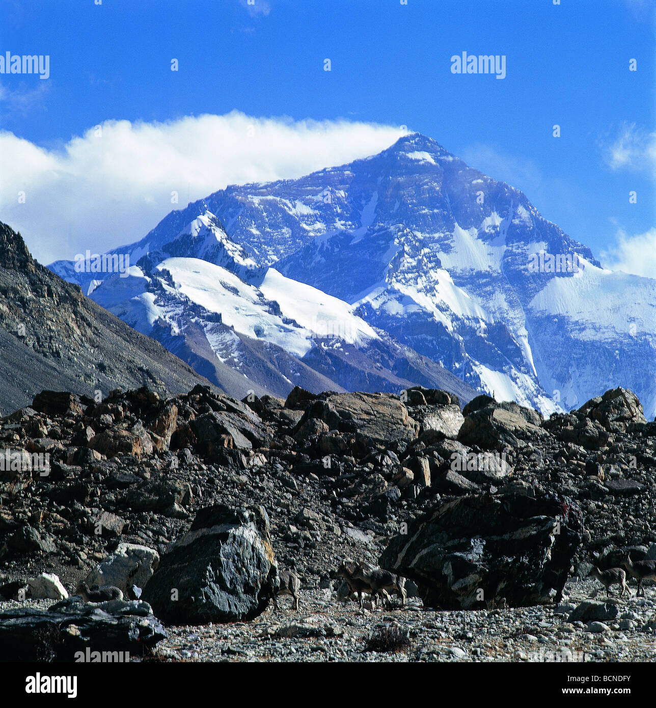 Mount Everest, Tibet, China Stock Photo - Alamy