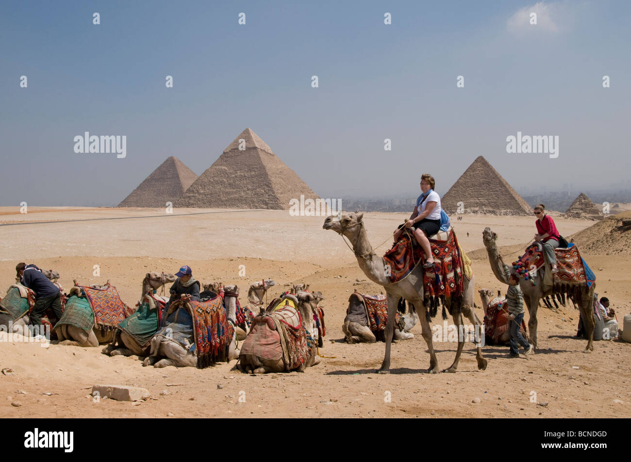 Egypt giza camel and pyramid hi-res stock photography and images - Alamy