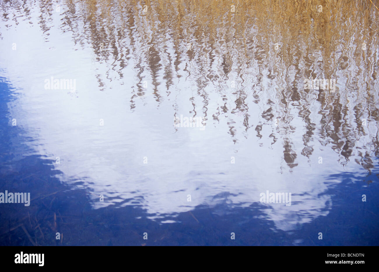 Golden halo hi-res stock photography and images - Alamy