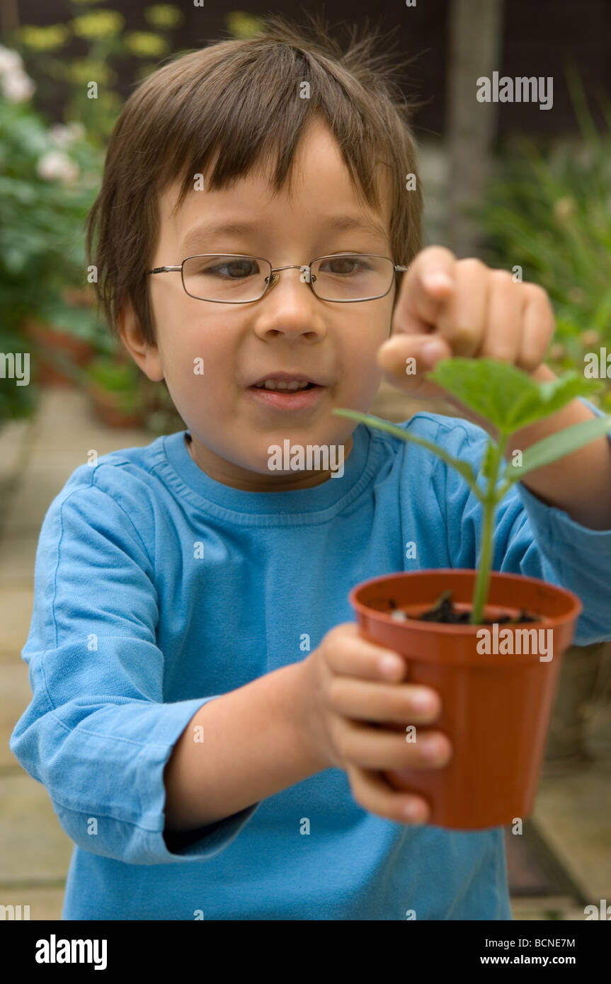 A 6 Year Old Boy Hold A Cucumber Seedling In A Pot In The Garden a-6-year-old-boy-hold-a-cucumber-seedling-in-a-pot-in-the-garden